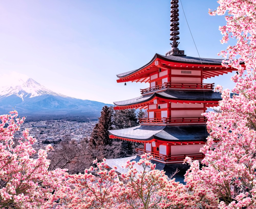 Explore Japan at the Children's Museum | Ithra