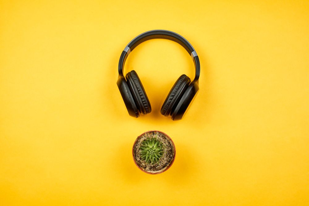 Singing Plants | Ithra