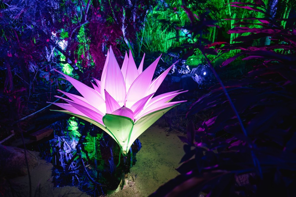 Mono-Surface Discovery Light Trail | Ithra