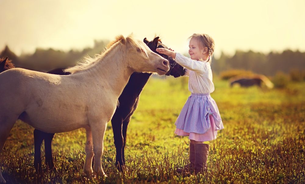 I Like My White Pony | Ithra