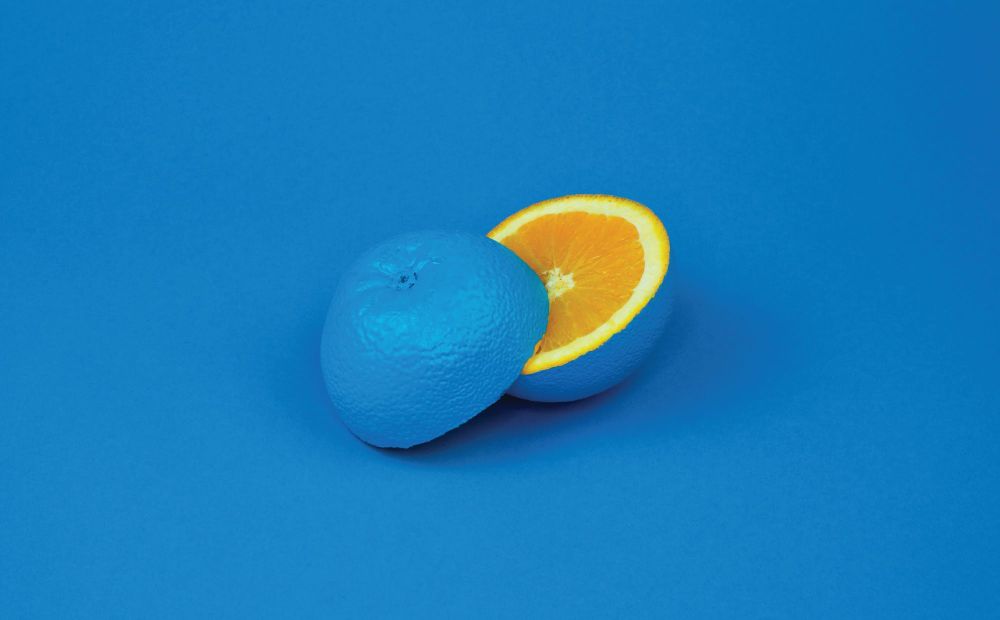What if all fruits were the same color? | Ithra