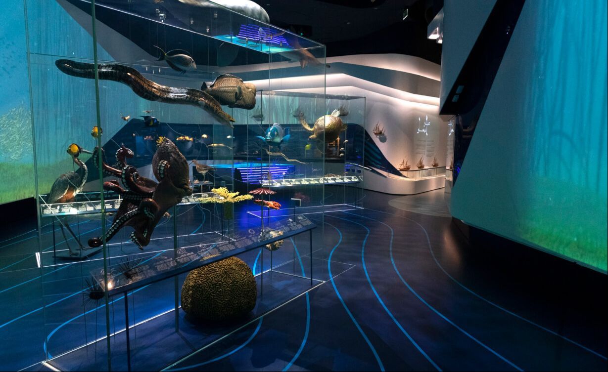 Individual Activity | Ithra