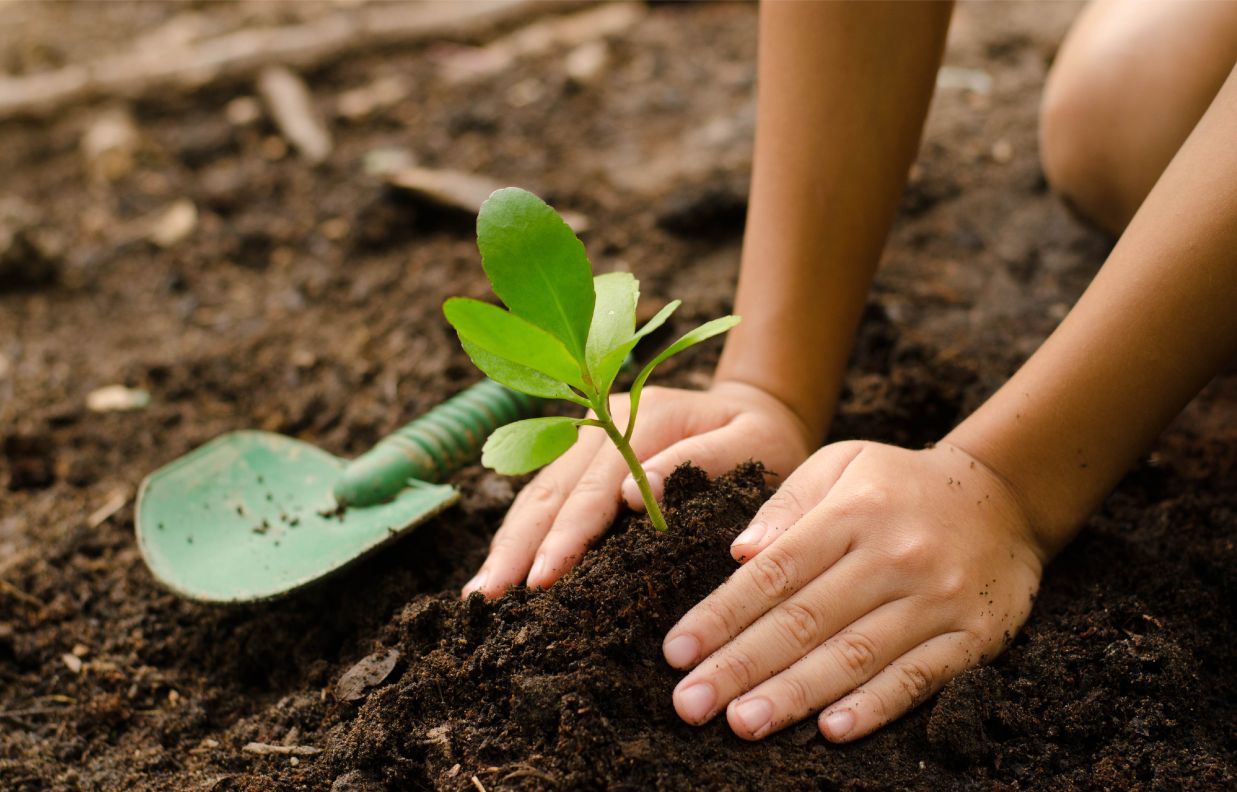 Dynamic Section Blocks | Ithra