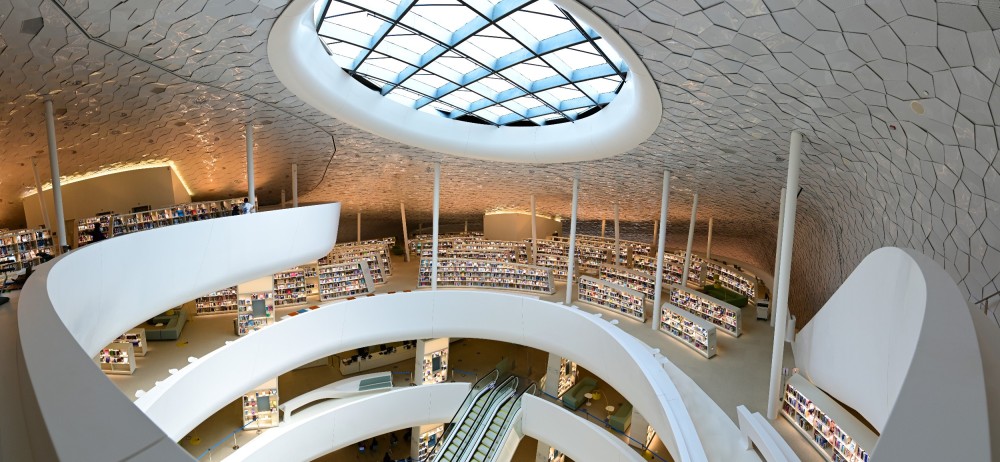 The Joint Effort between Specialized Associations, Libraries and the IFLA to Develop the ...