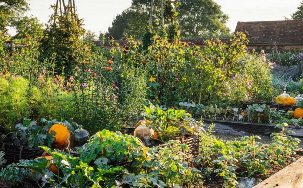 Exploring Gardening (2 Days) | Ithra