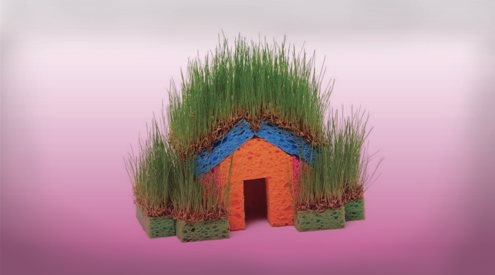 Sponge Sprout House | Ithra