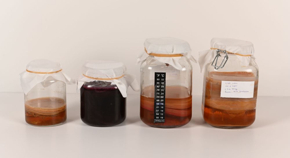 Creativity Morning: Grow Your Own SCOBY | Ithra