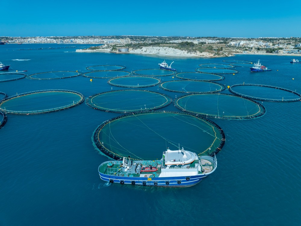 From Net to Nest | Ithra