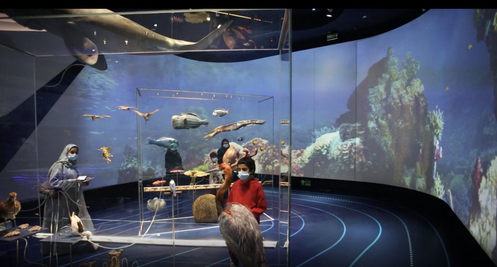 Dynamic Section Blocks | Ithra